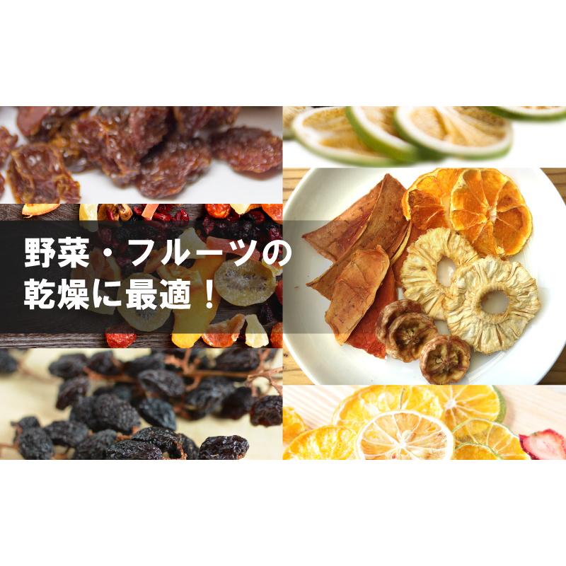 食品乾燥機 ドラッピーmini 100V 家庭用 業務用 DSJ-mini ドラッピーミニ ドライフード ドライフルーツ 乾燥 野菜 果物 食品乾燥 静岡製機 DZ :2071:農業用品販売の ...