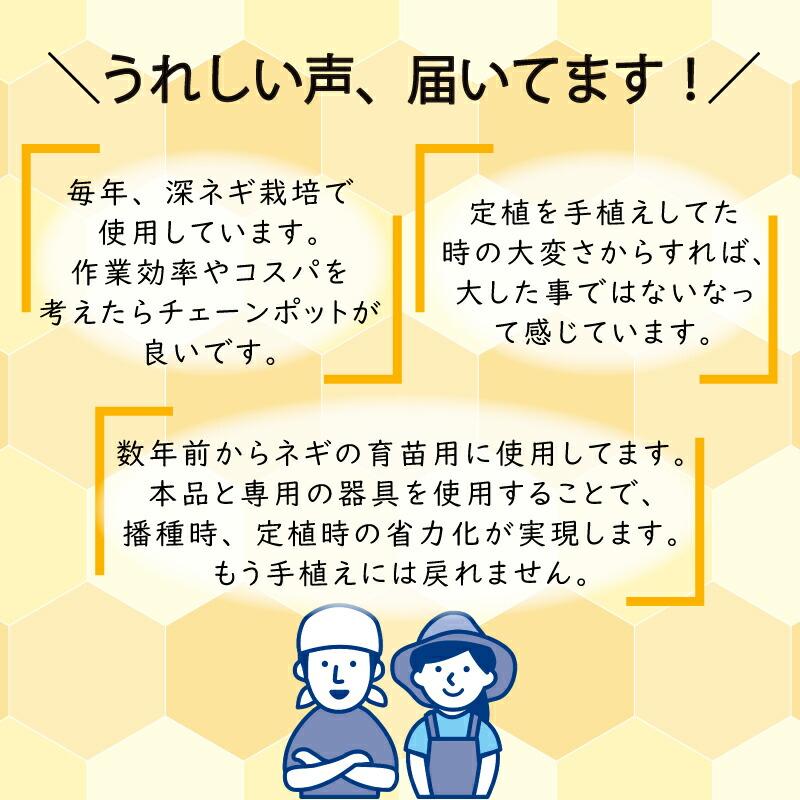 LPチェーンポット LP303-10 75冊（個）株間10cm 264鉢 播種 種まき 育苗 青ネギ 菊 花き類 農業 lp303-10 チェーンポット 紙筒 ニッテン 日本甜菜製糖 タS ...