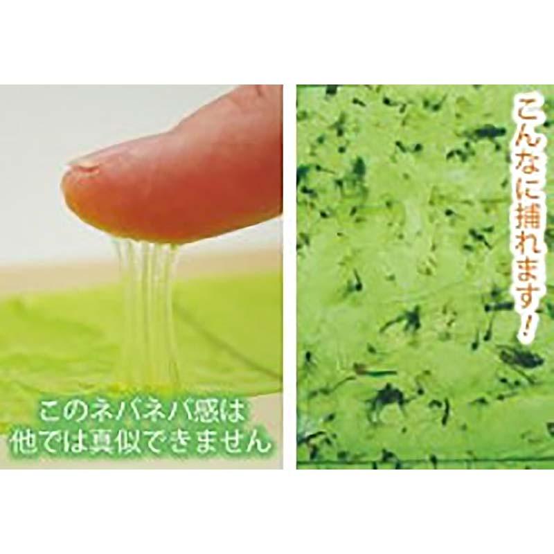 ムシポンMPX-2000K-DXA 捕虫紙 粘着剤 オールステンレス 業務用 壁付型 横型 片面目隠し 朝日産業 オK 代引不可 : 農業用品販売のプラスワイズ - 通販 - Yahoo!ショッピング