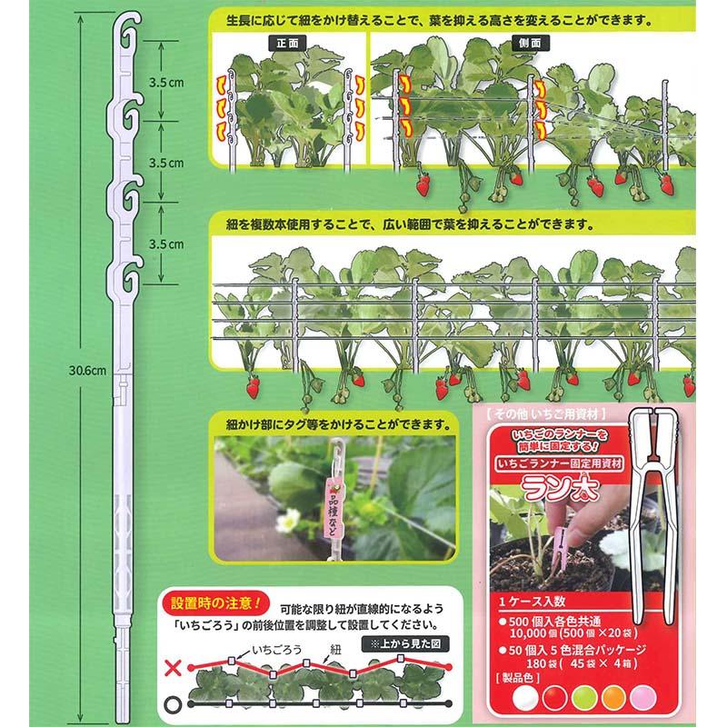 150本 いちごろう イチゴ玉出しスティック IGR-P150 苺資材 シーム タS 代引不可 :65143:農業用品販売のプラスワイズ - 通販 - Yahoo!ショッピング