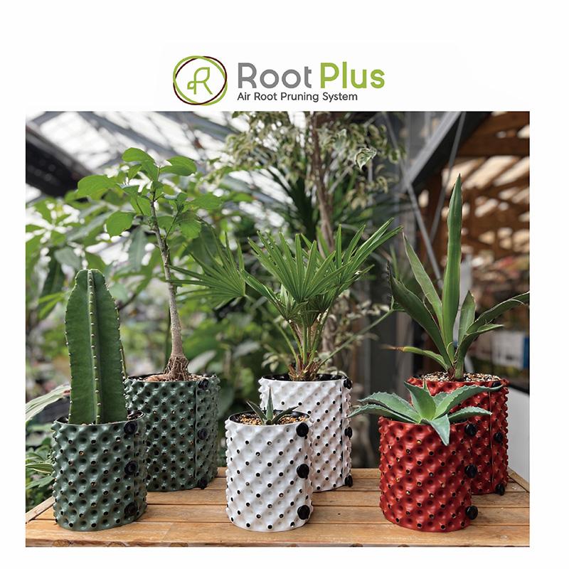 3色セット 各10個 ルートプラスポット ミニ 3.0L ブラウン グリーン ホワイト 高さ190mm×内寸系150mm UV加工 RootPlus 南栄工業 根巻き防止 空気剪定 高耐久 D ...