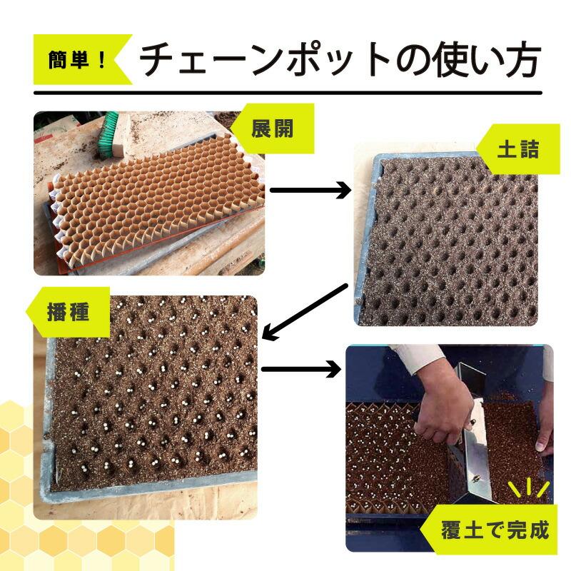 チェーンポット CP303 1冊（単品）株間5cm 264鉢 播種 種まき 育苗 ネギ 三つ葉 花き類 野菜 農業 cp303 紙筒 ひっぱりくん ニッテン 日本甜菜製糖 タSZ :681 ...