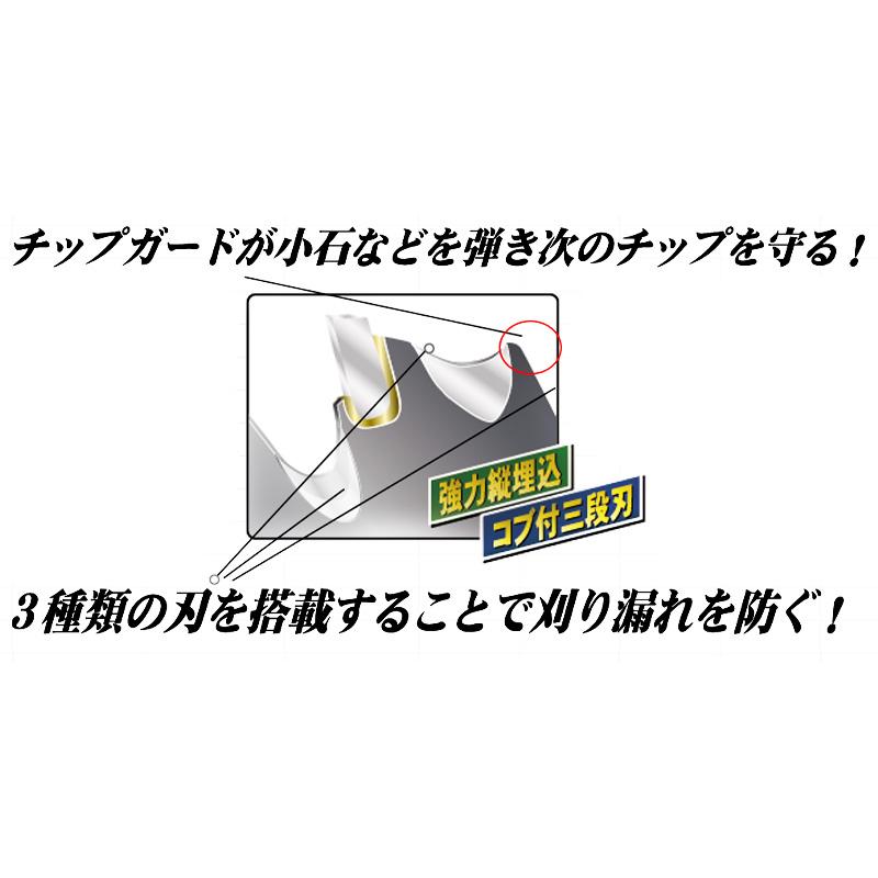 HEART 極三段刃 ブリスター 入 チップソー 外径255mm 刃数36P 内径25.4mm 超硬チップ使用 草刈り 草刈り機 替え刃 ハートフルジャパン 代引不可 産直 : 農業用品販売の ...