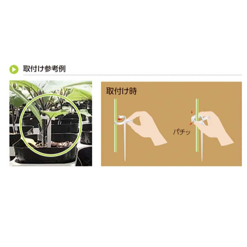 茎ササエさん 5000本 赤 109mm CP-615-1 タキゲン 支柱 苗の転倒防止 農業 園芸 作物 畑 ガーデニング サT 代引不可 : 農業用品販売のプラスワイズ - 通販 ...