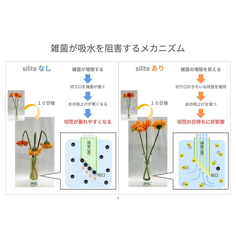 水質改善剤 silite シリット 1000L用 10kg 計量スプーン付 銀 ゼオライト 切花 Green Walk 大T 代引不可 ...