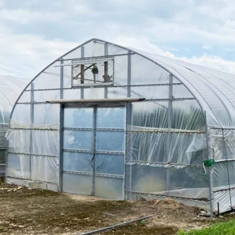 フィルムのみ 農PO 伸野果 SUN-X サンクロス 厚み0.1mm 幅960cm 長さ30m 住化積水フィルム 塗布型農PO ビニールハウス トンネル サT 個人宅配送不可 代引不可 ...