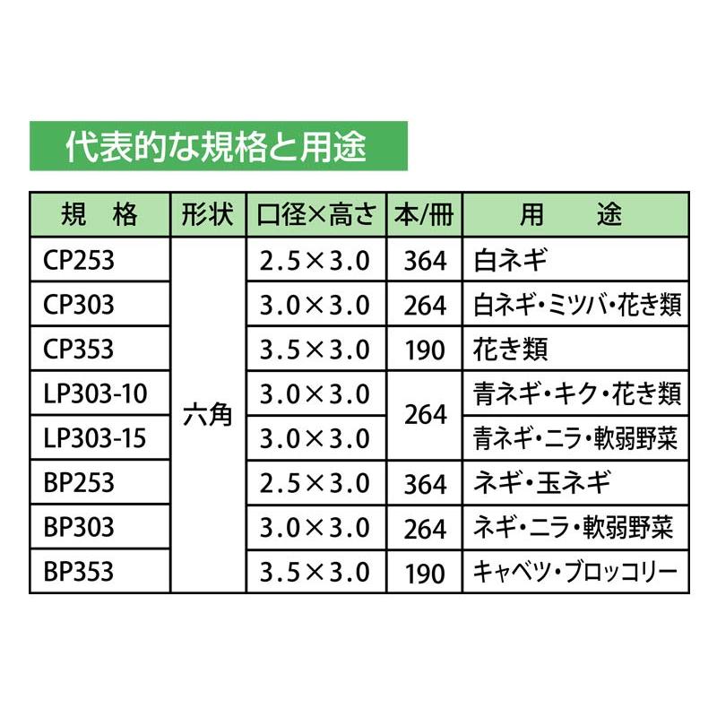 75冊 2箱 チェーンポット LP 303-10 264鉢 紙筒 ニッテン 日甜 ロングピッチチェーンポット 播種 種まき 育苗 青ネギ キク 菊 花き類 タ種 DZ :1002616:プラス ...