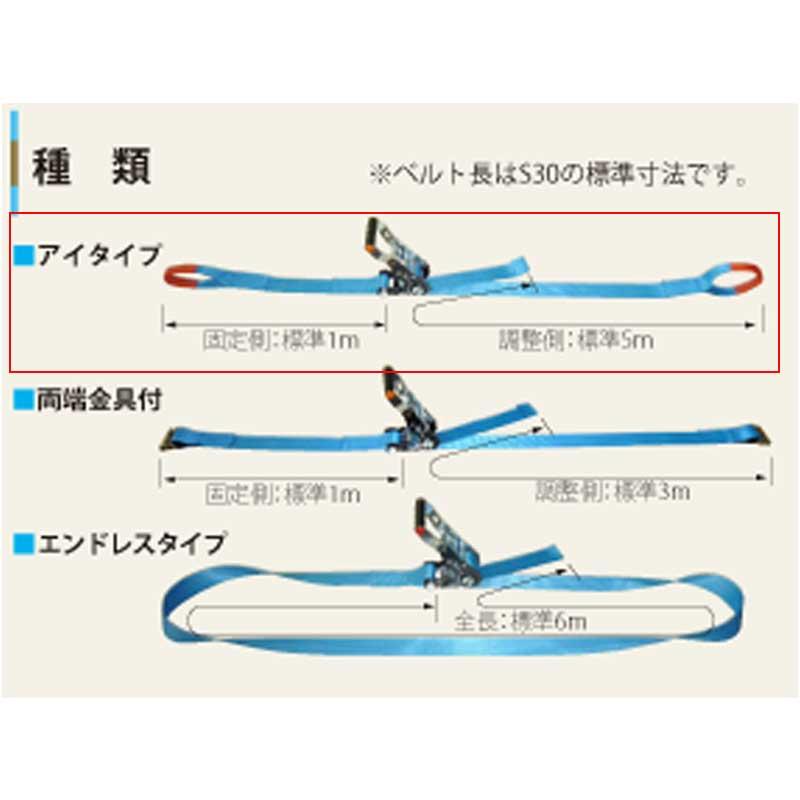 ベルト荷締機 ラッシングベルト カムバックル式 C15 アイタイプ E010-030 ベルト幅50mm 固定1m 調整3m 梱包 輸送資材 テザック アミ 代引不可 :410511:プラス ...