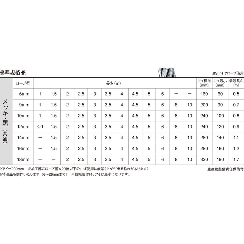 玉掛けワイヤ トゲ無し 16mm 1.5m TWB16-01.5 黒 安全使用荷重2.13t 長崎差し NETIS登録 STAS 代引不可 : プラスワイズ建築 - 通販 - Yahoo!ショッピング