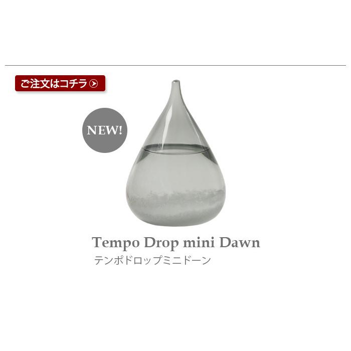 ストームグラス テンポドロップミニドーン ペロカリエンテ Tempo Drop mini Dawn Perrocaliente :16934020:plywood - 通販 - Yahoo ...