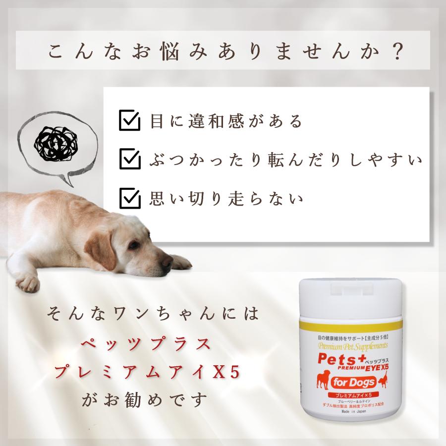 犬専用サプリメント ペッツプラス プレミアムアイX5 目の健康維持をサポート 主成分5倍配合 : petsplus-dogs-premiumeyex5 : プレミアムモール - 通販 ...