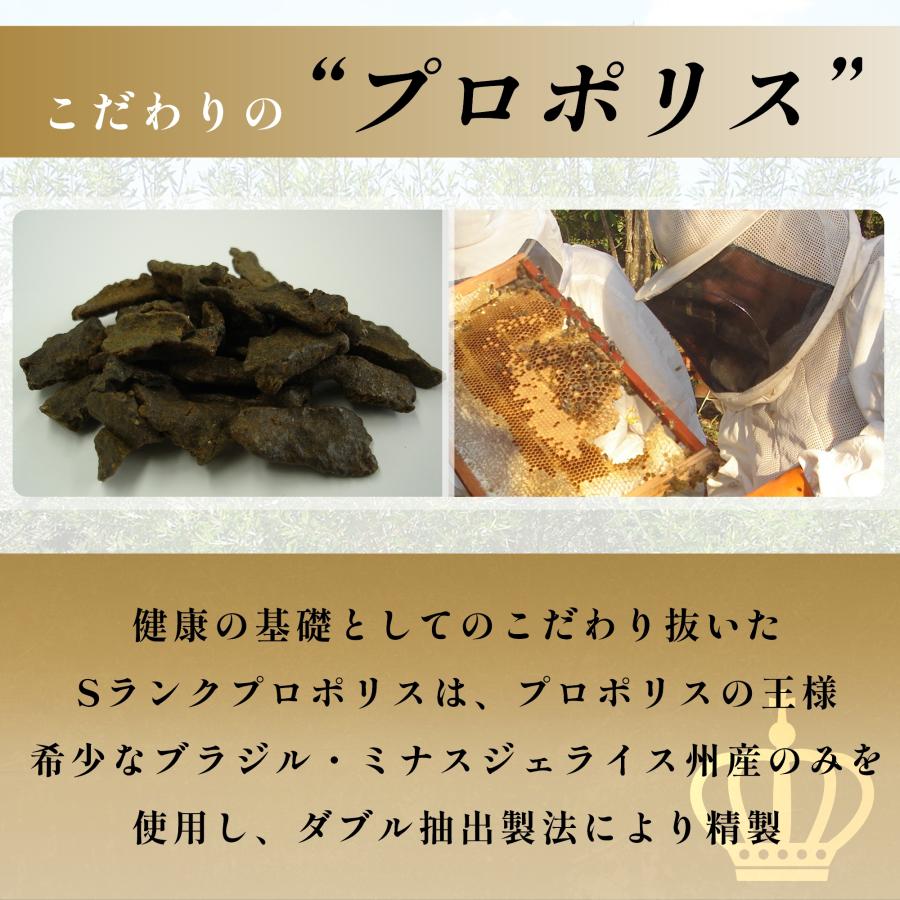 犬専用サプリメント ペッツプラス プレミアムアイX5 目の健康維持をサポート 主成分5倍配合 : petsplus-dogs-premiumeyex5 : プレミアムモール - 通販 ...