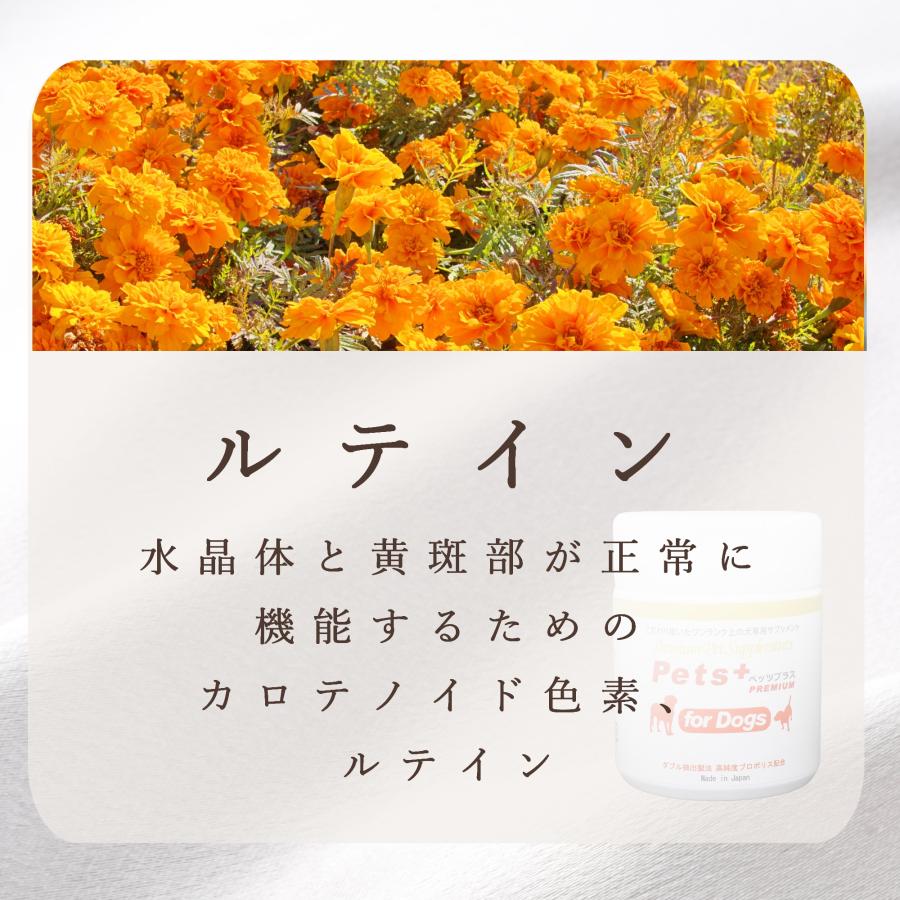 犬専用サプリメント ペッツプラス プレミアムアイX5 目の健康維持をサポート 主成分5倍配合 : petsplus-dogs-premiumeyex5 : プレミアムモール - 通販 ...