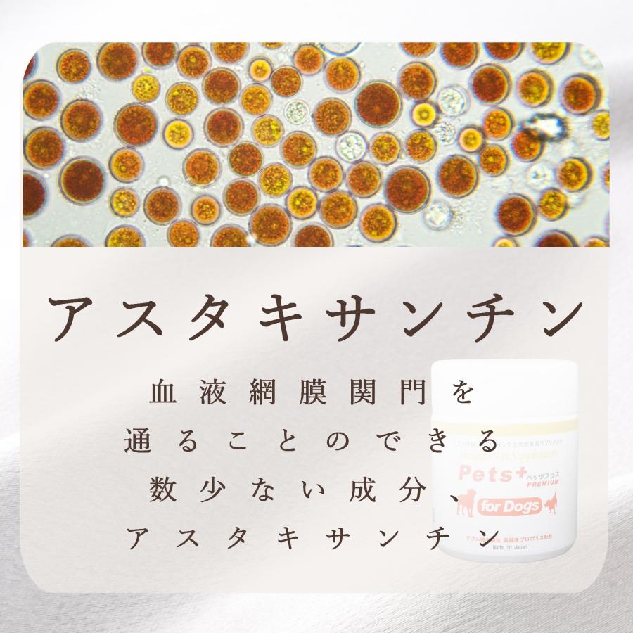 犬専用サプリメント ペッツプラス プレミアムアイX5 目の健康維持をサポート 主成分5倍配合 : petsplus-dogs-premiumeyex5 : プレミアムモール - 通販 ...