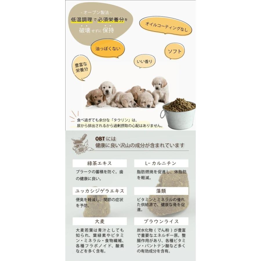 送料無料 「オーブンベイクド トラディション アダルトフィッシュ 2.27kg」 成犬用 ドッグフード 9670-5-PB 0669066001767 : キャラクター雑貨 PoccL ...