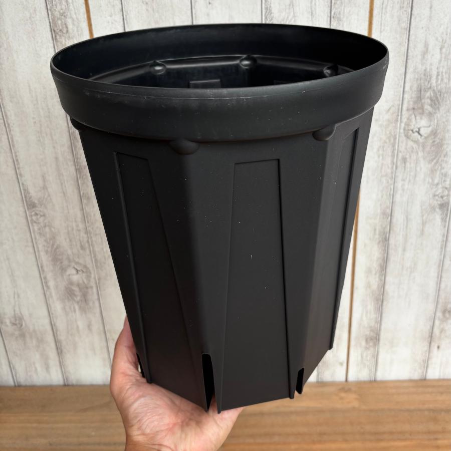 CSM-240L スリット鉢 ロングタイプ（約8号鉢） ブラック メーカー：兼弥産業 : フラワーショップ POCOLOCO - 通販 - Yahoo!ショッピング