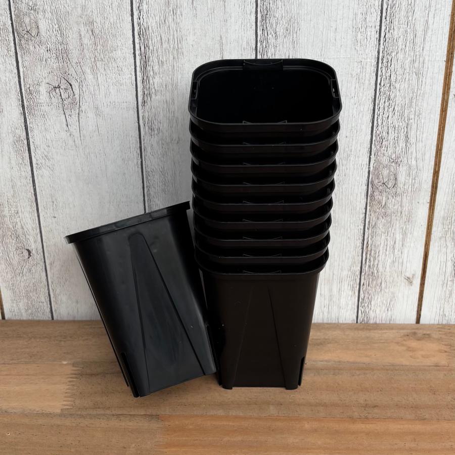 EG-90L 10個セット スリット鉢 黒 角型 ロングタイプ メーカー：兼弥産業 : フラワーショップ POCOLOCO - 通販 - Yahoo!ショッピング