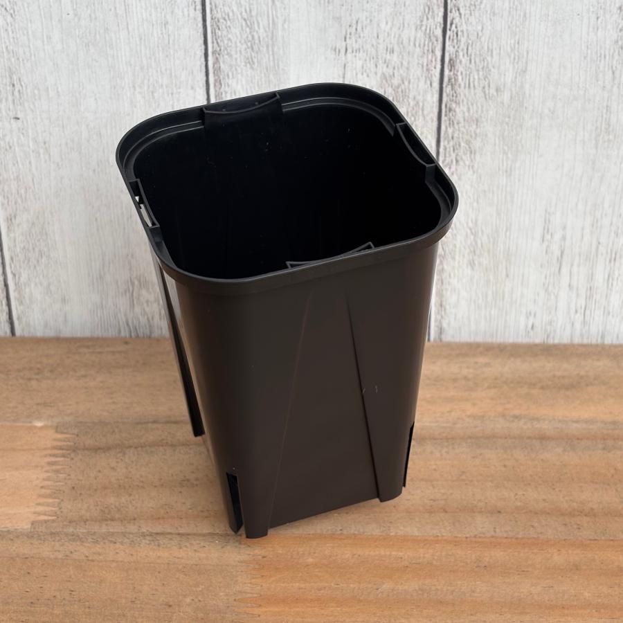 EG-90L 10個セット スリット鉢 黒 角型 ロングタイプ メーカー：兼弥産業 : フラワーショップ POCOLOCO - 通販 - Yahoo!ショッピング