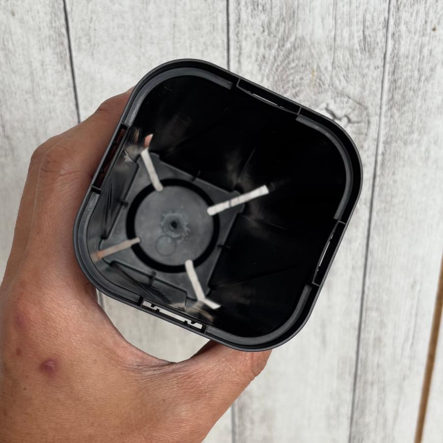 EG-90L 10個セット スリット鉢 黒 角型 ロングタイプ メーカー：兼弥産業 : フラワーショップ POCOLOCO - 通販 - Yahoo!ショッピング