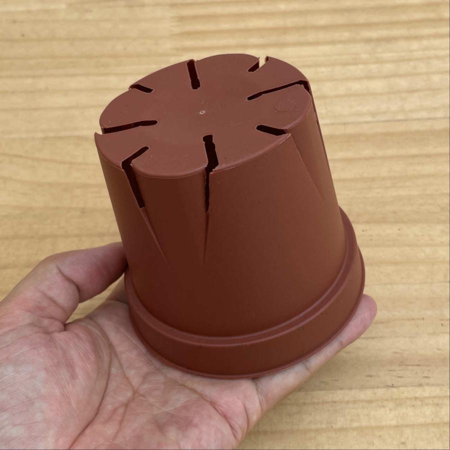 スリットポット 10cm (1鉢) : フラワーショップ POCOLOCO - 通販 - Yahoo!ショッピング