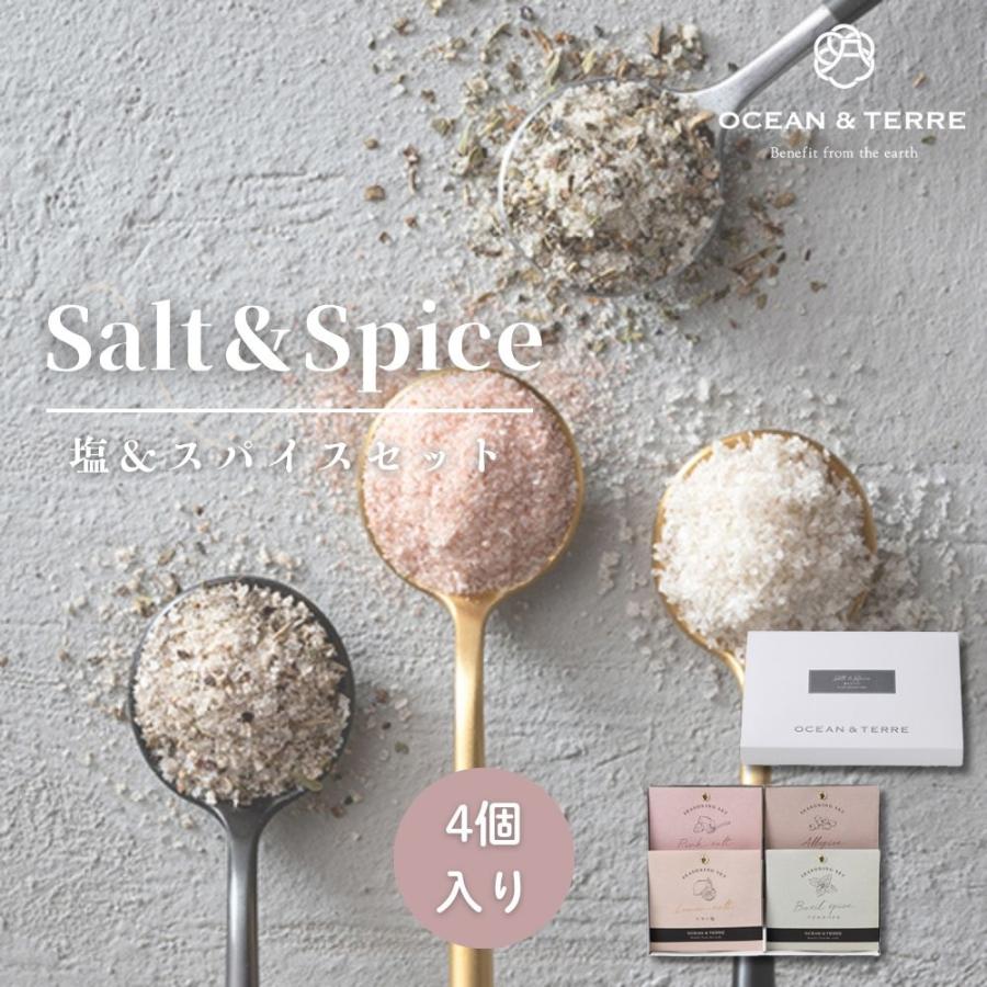 詰め合わせ ギフト 内祝い 引き出物 塩&スパイスセット OCEAN＆TERRE 2025 A412 : Cactus - 通販 - Yahoo!ショッピング