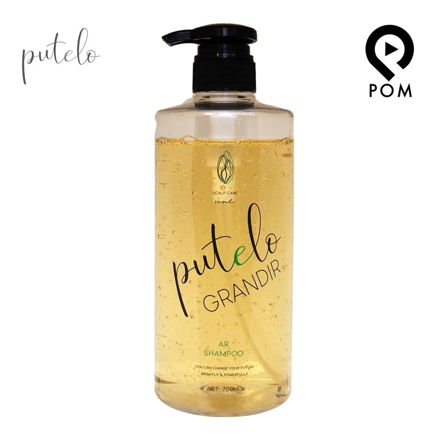 putelo プテロ AR シャンプー グランディール 700mL スカルプシャンプー 頭皮ケア ハリ コシ ボリューム : pom-store Yahoo!店 - 通販 - Yahoo!ショッピング