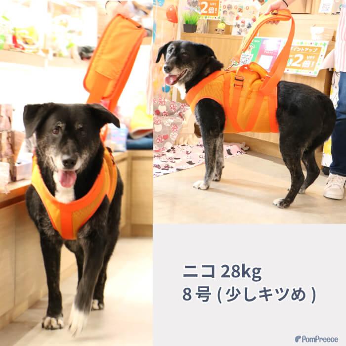 PomPreece 犬 介護用ハーネス 後ろ足 歩行補助 中型犬 歩行サポート 排泄介助 メッシュオールケアハーネス 8・9号 : ポンポリース直営Yahoo!店 - 通販 - Yahoo ...