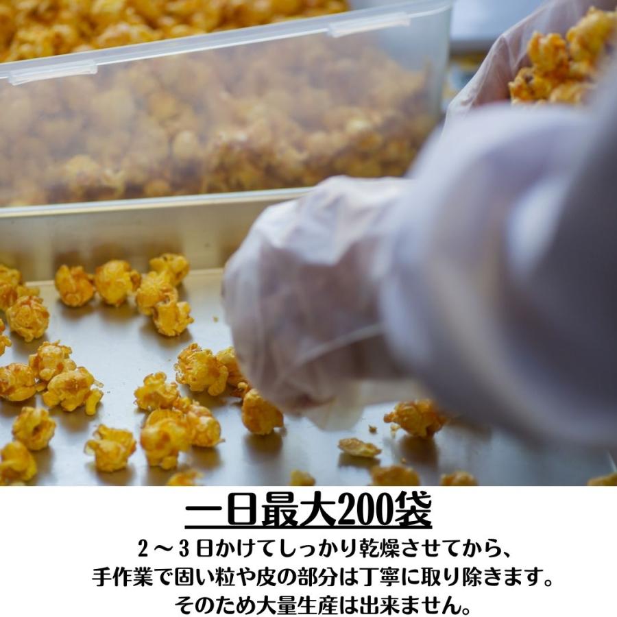 ポップコーン ミルク 国産 無添加 御中元 御歳暮 スイーツ ポップコーン ミルク 国産 無添加 御中元 御歳暮 スイーツ
