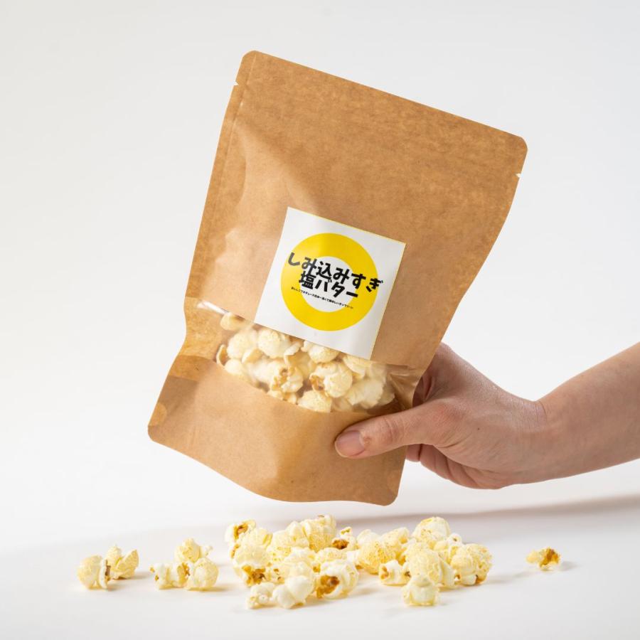 ポップコーン 楽しんご 塩バター 国産 無添加 御中元 スイーツ ギフト お返し 御礼 お祝い プレゼント 手土産 差し入れ 40g 4袋 : popcorn-tanoshingo4 ...
