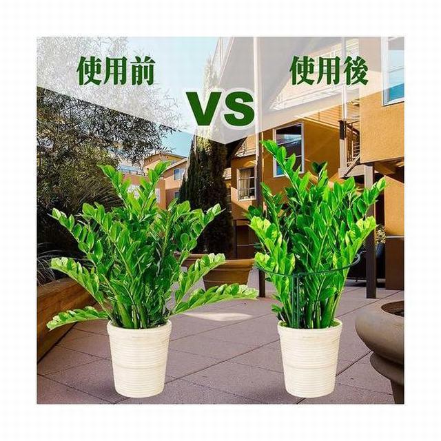 植物支柱 園芸支柱 観葉支柱 園芸用 植物サポート 花ささえ ガーデニング用支柱 農業用 半円形25cmx40cm 10個セット : POSSFAST - 通販 - Yahoo!ショッピング