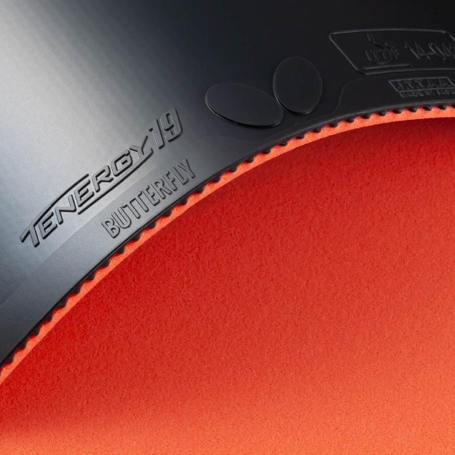 テナジー19 卓球 バタフライ ラバー : b00033 : ピンポンジャパン - 通販 - Yahoo!ショッピング