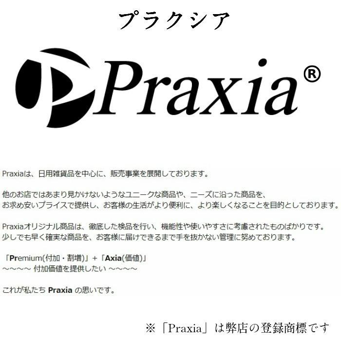 スキットル スキットルボトル ヒップフラスコ 日本酒 ウイスキー 18oz 18オンス 500ml 漏斗 付属 : Praxia - 通販 ...