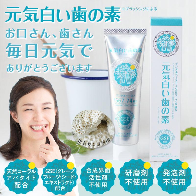 元気白い歯の素 （GSE練歯みがき） 100g×2個セット 【サマーセール】 : プレマシャンティ - 通販 - Yahoo!ショッピング