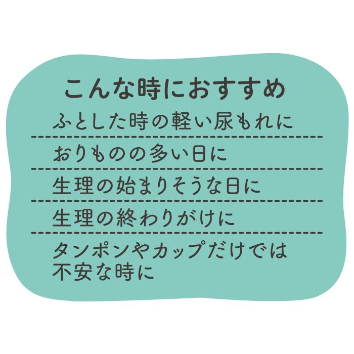 Premier 吸水ショーツ 吸水量20cc 送料無料 シークレットケア 尿もれ 生理用 サニタリー 消臭抗菌 吸水速乾 羽付きナプキン取付可 軽失禁ショーツ 軽失禁パンツ 黒 : 下着 ...