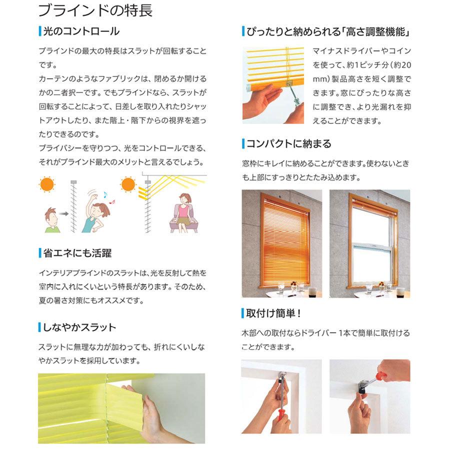 インテリアブラインド F-NS-260200 サイズオーダー 標準仕様 遮熱コート カーテン 巻き上げ式カーテン 寝室リビング ダイニング 横型 :F-NS-260200-11A7:オフィス ...