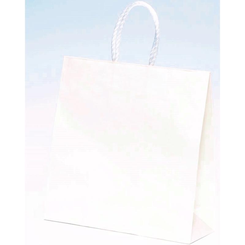 パックタケヤマ 【200点】紙手提袋 ST3才 白無地 00766164 : プロステYahoo!店 - 通販 - Yahoo!ショッピング