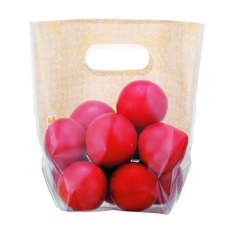 エフピコ 【5000点】スタンド袋 角底サンバッグB2018 雲竜オレンジ エフピコチューパ 00821027 : プロステYahoo!店 - 通販 - Yahoo!ショッピング