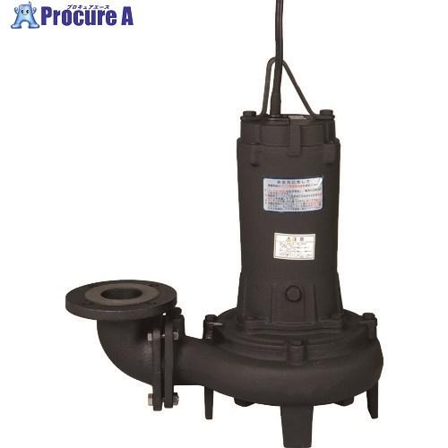 エバラ DL型汚水汚物用水中ポンプ 60Hz 口径200mm 134-8653 200DL67.5 1台 : プロキュアエース - 通販 ...