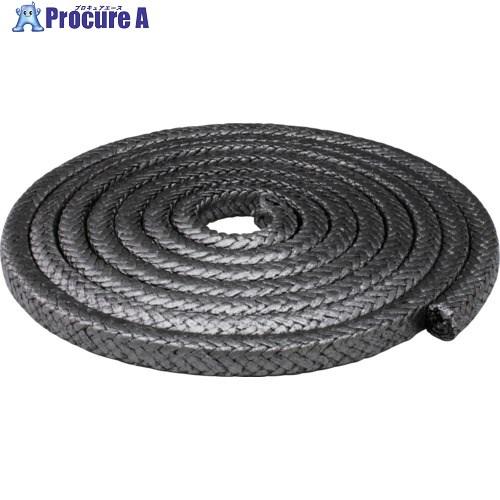 日本ピラー グランドパッキン 6315CH 3mm×3m 683-4052 6315CH 3MMX3M 1箱 : 683-4052 : プロキュアエース - 通販 - Yahoo!ショッピング