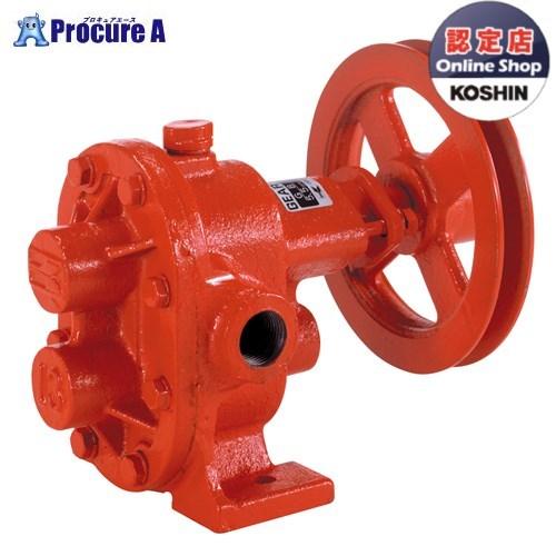 KOSHIN 単体ポンプ ギヤーポンプ 口径13ミリ GC-13 GC13 0028508(株)工進 ko591 : プロキュアエース ...