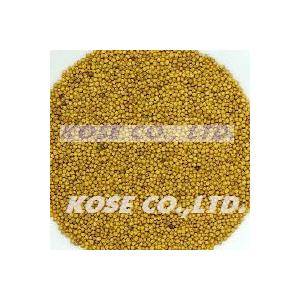 GABAN マスタード シード マスタードシード MUSTARD SEED(芥子) 1パック(1kg) : Professional ...