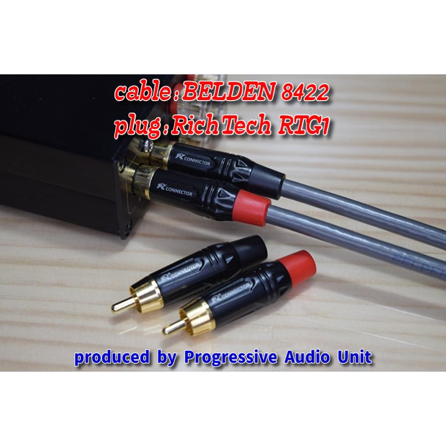 BELDEN 8422＋金メッキプラグ（RTG1）/0.45m×2本 : Progressive Audio Unit 2 - 通販 ...