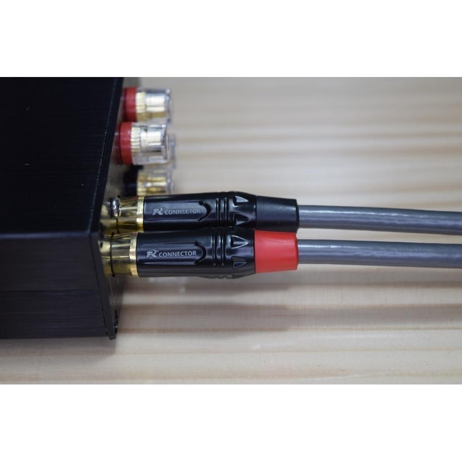 BELDEN 8422＋金メッキプラグ（RTG1）/0.95m×2本 : Progressive Audio Unit 2 - 通販 ...