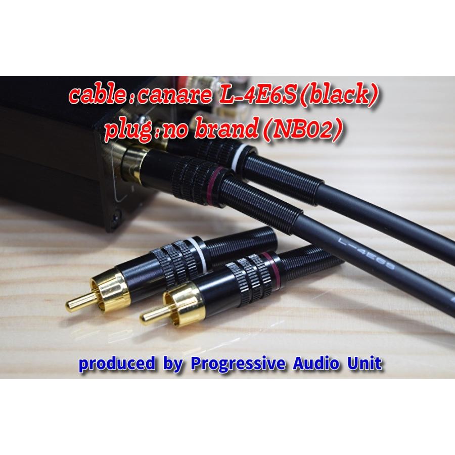 canare L-4E6S＋金メッキプラグ（NB02）/0.70m×2本 : Progressive Audio Unit 2 - 通販 - Yahoo!ショッピング