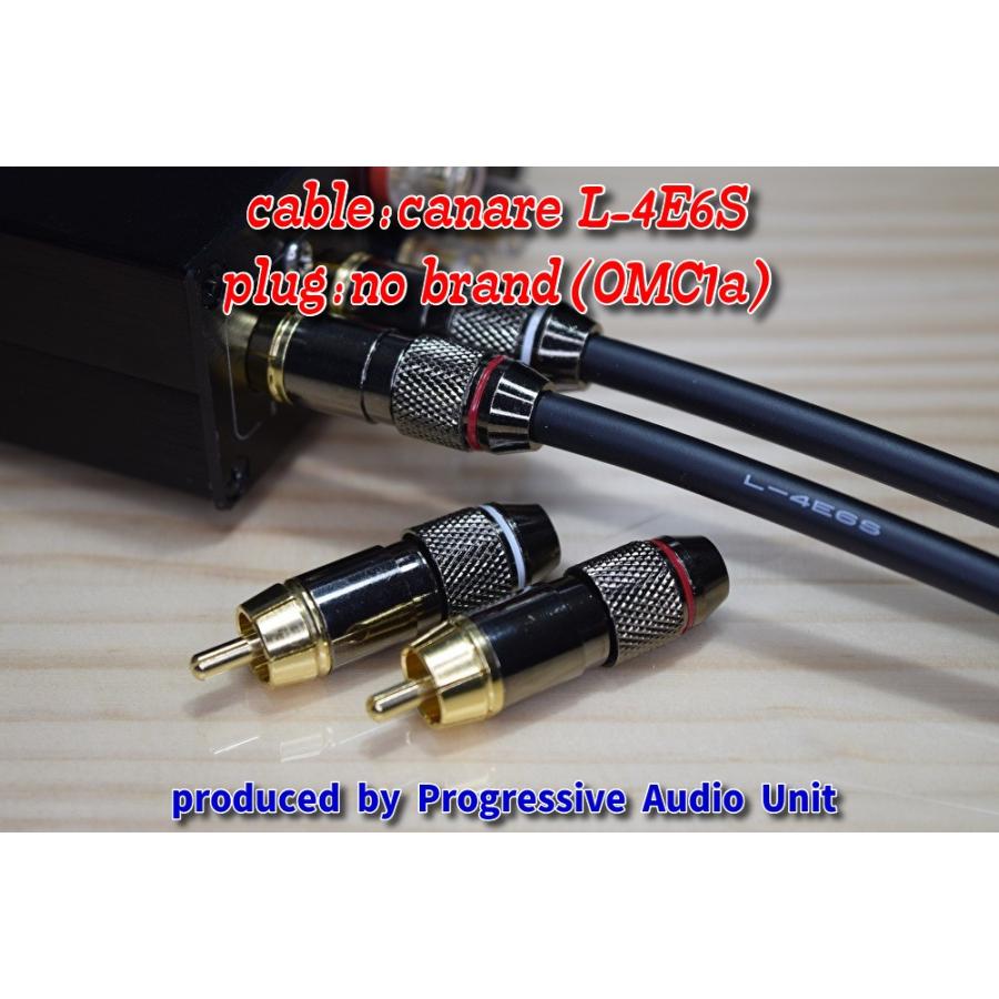 canare L-4E6S＋金メッキプラグ（OMC1a）/0.45m×2本 : Progressive Audio Unit 2 - 通販 - Yahoo!ショッピング
