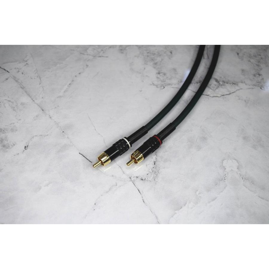 QAC-222＋金メッキプラグ（NB02）/0.30m×2本 : Progressive Audio Unit 2 - 通販 - Yahoo!ショッピング