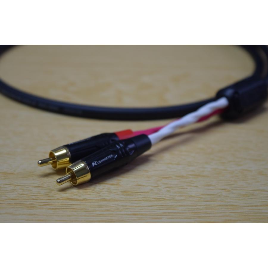 Rich Tech RTG1(LR)+KLOTZ-MC5000+REAN-NYS231BG/3.00m : rtg1-mc5000-nys231bg-300cm : Progressive ...