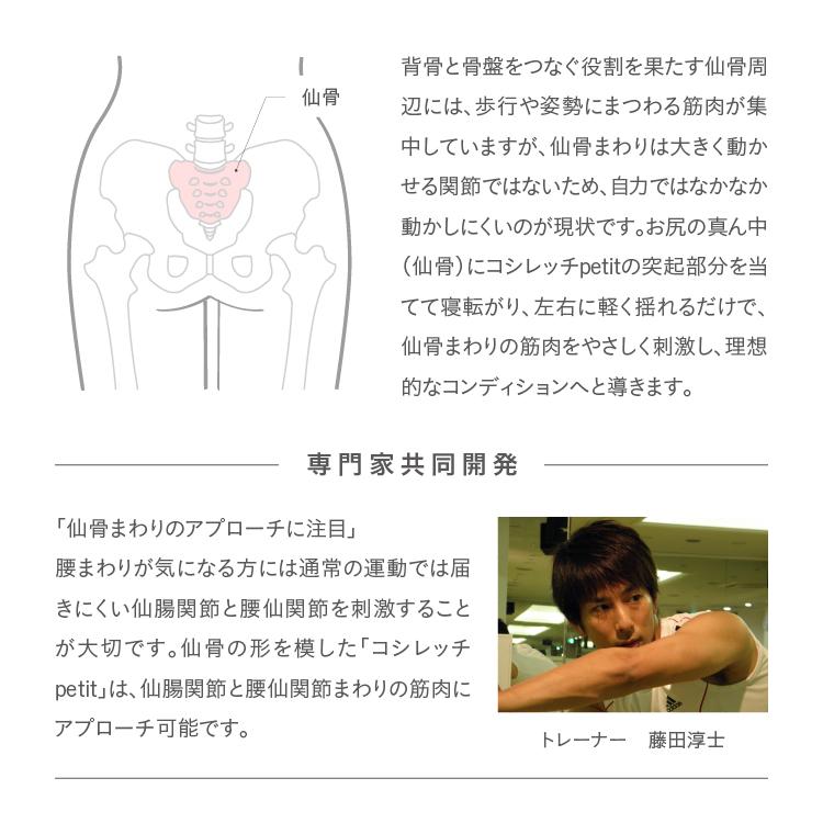 PROIDEA コシレッチpetit（プチ） : プロイデア Yahoo!ショッピング店 - 通販 - Yahoo!ショッピング