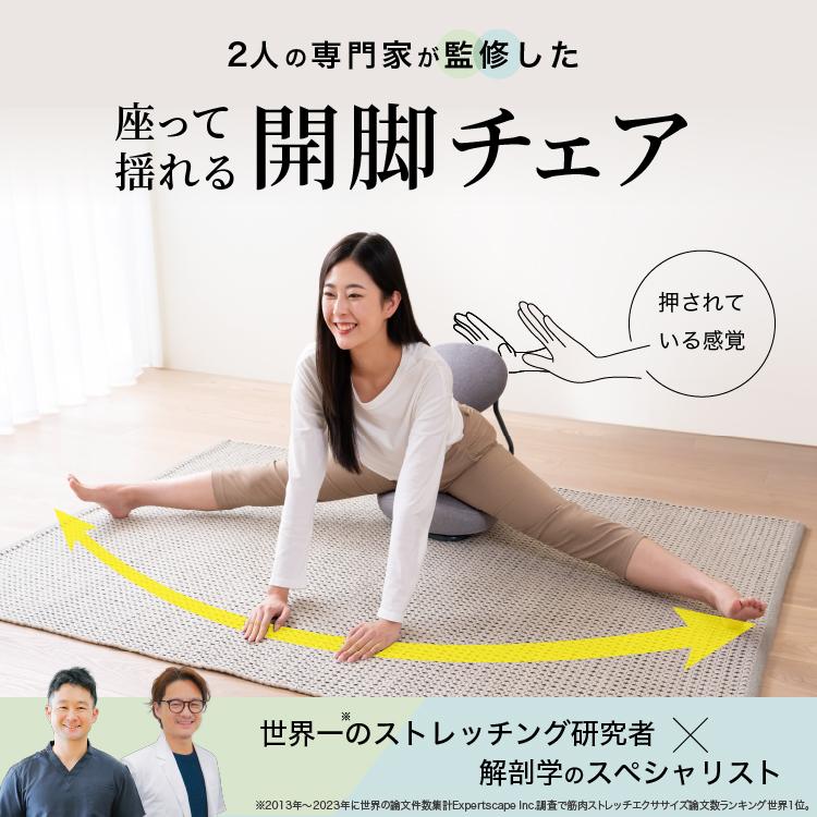 PROIDEA ストレッチ 開脚 椅子 座椅子 骨盤矯正 腰痛 姿勢 骨盤 ゆがみ リクライニング ギフト プレゼント（0070-4252 リストレッチ 開脚チェア）プロイデア ドリーム ...