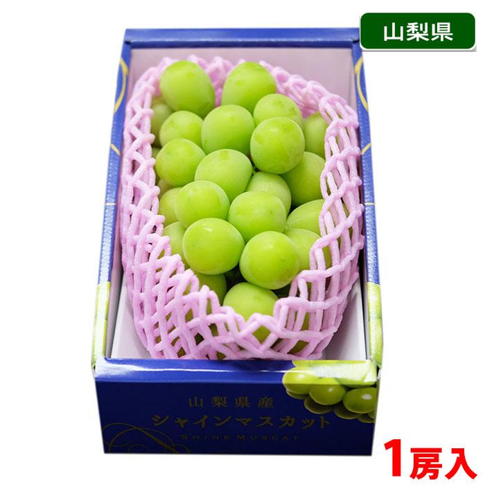 山梨県産 シャインマスカット 1房入り 約700〜800g （化粧箱） : 生鮮卸売市場 - 通販 - Yahoo!ショッピング